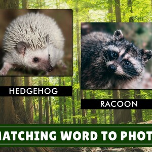 Forest Animals Matching Cards | Digital Download | Montessori Inspired ...