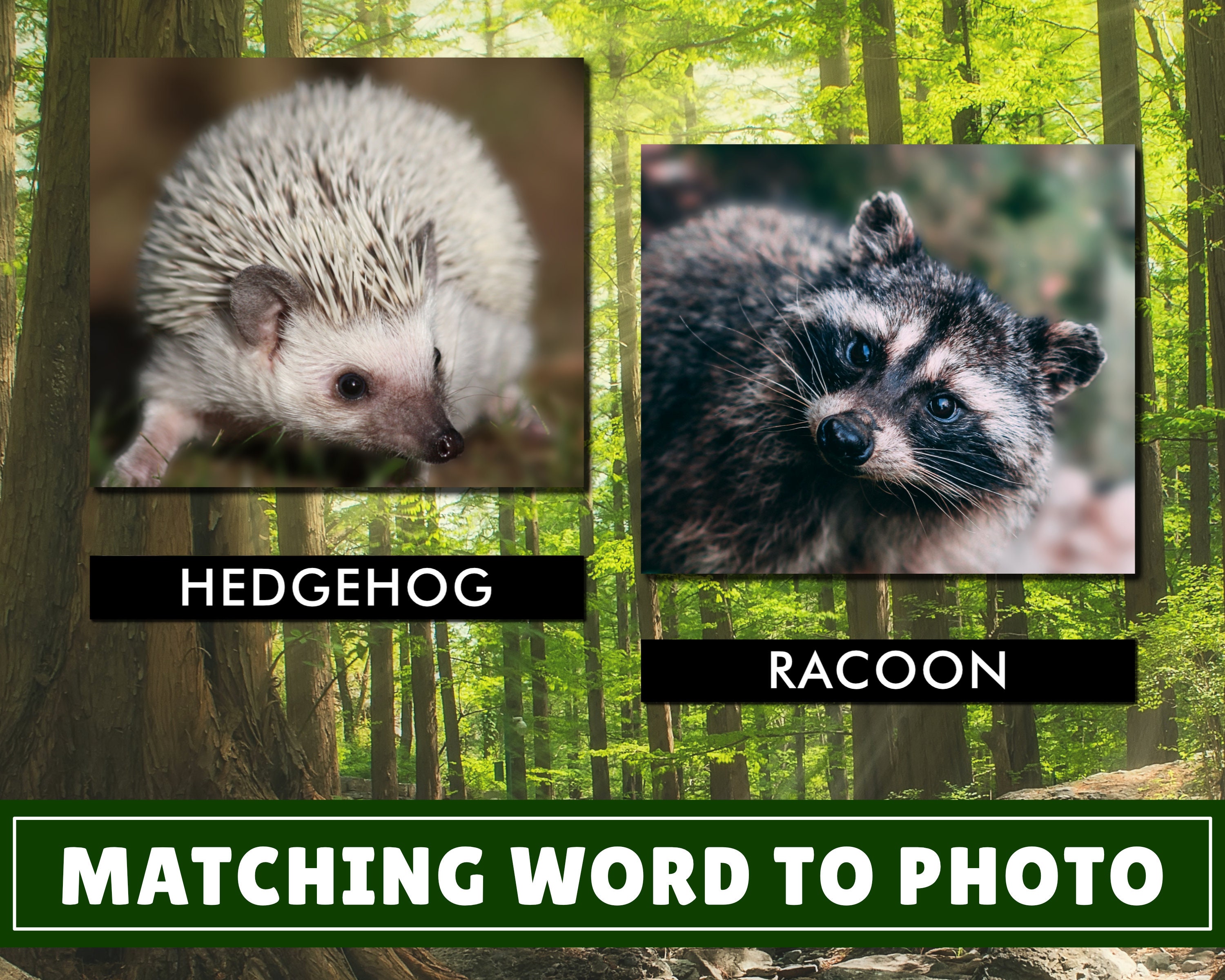 Forest Animals Matching Cards | Digital Download | Montessori Inspired ...