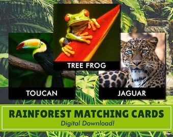 Forest Animals Matching Cards | Digital Download | Montessori Inspired ...