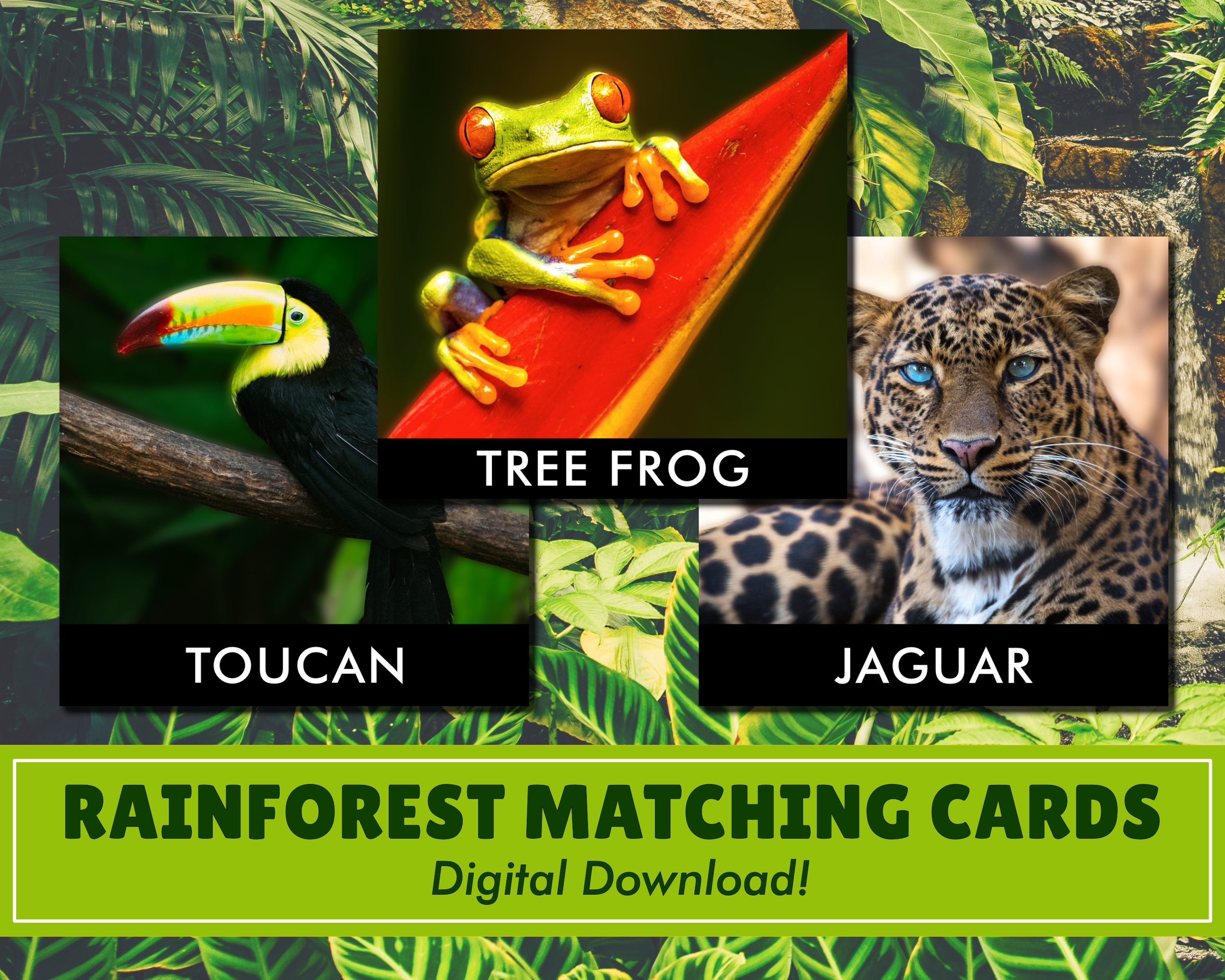 Rainforest Animals Matching Cards | Digital Download | Montessori ...