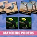 Birds Matching Cards With Bonus Fun Facts | Digital Download ...