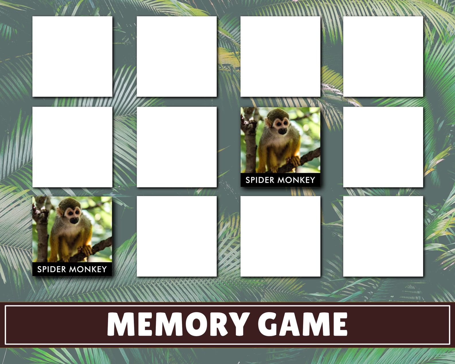 Primates Matching Cards | Digital Download | Montessori Inspired ...