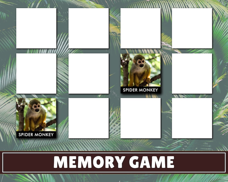 Primates Matching Cards | Digital Download | Montessori Inspired ...