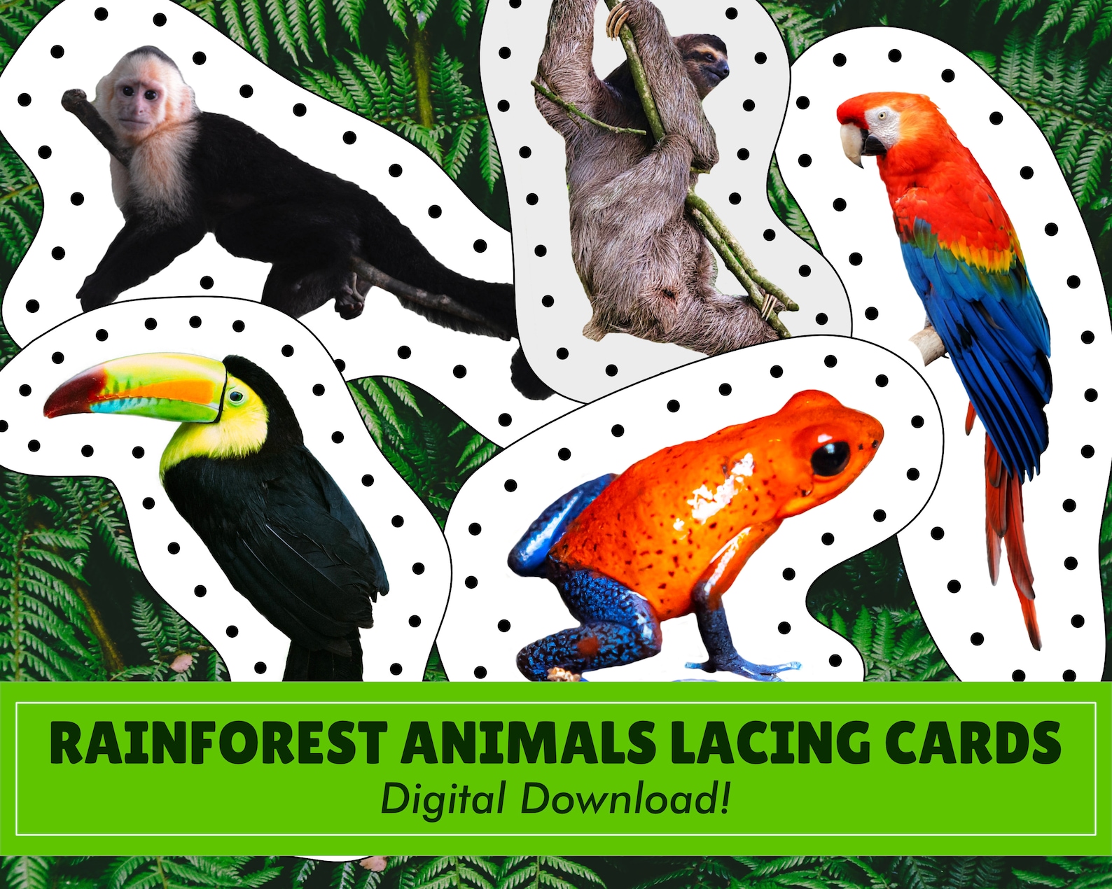 Rainforest Animal Lacing Cards | Digital Download | Montessori Inspired ...
