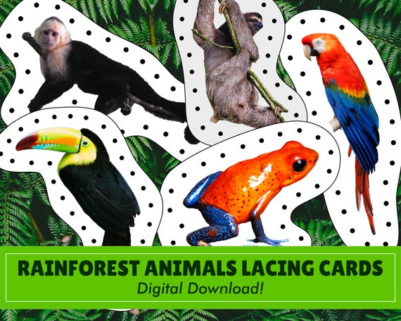 Rainforest Animal Lacing Cards Digital Download Montessori | Etsy