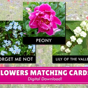 Flowers Matching Cards | Digital Download | Montessori Inspired ...