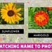 Flowers Matching Cards | Digital Download | Montessori Inspired ...
