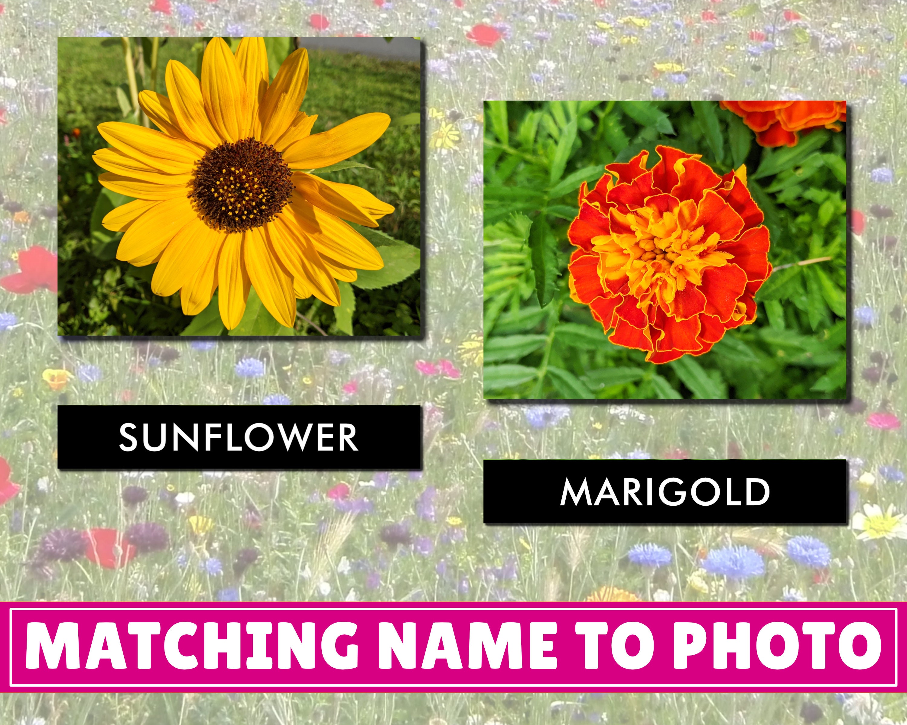 Flowers Matching Cards | Digital Download | Montessori Inspired ...