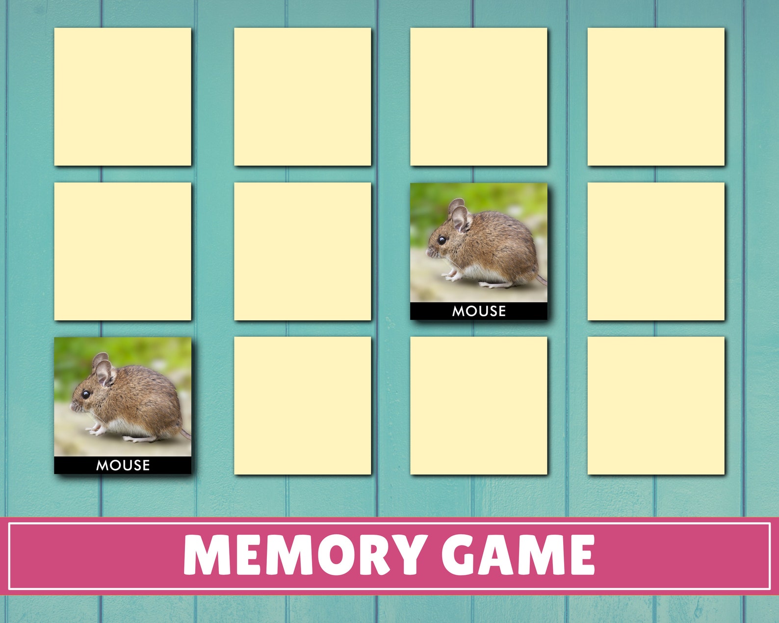 Pets Matching and Identification Cards Digital Download Montessori ...