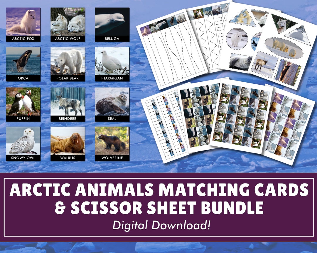 Arctic Animals Matching Cards and Scissor Sheets Bundle | Digital ...