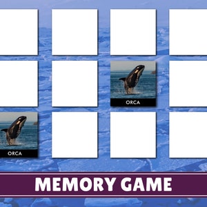 Arctic Animals Matching Cards With Bonus Fun Facts | Digital Download ...