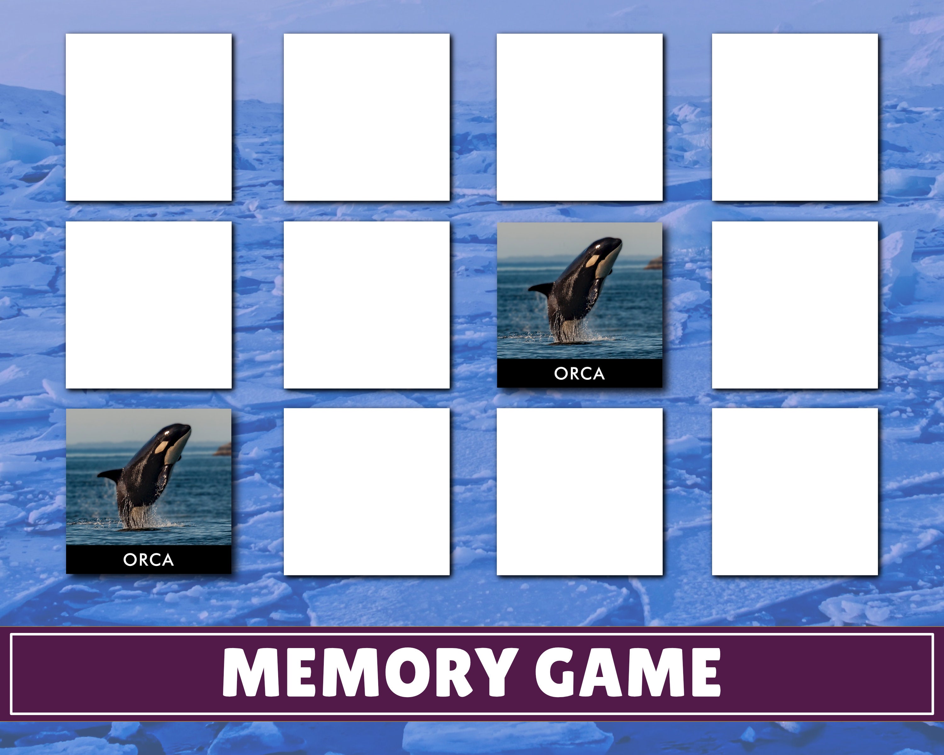 Arctic Animals Matching Cards With Bonus Fun Facts | Digital Download ...