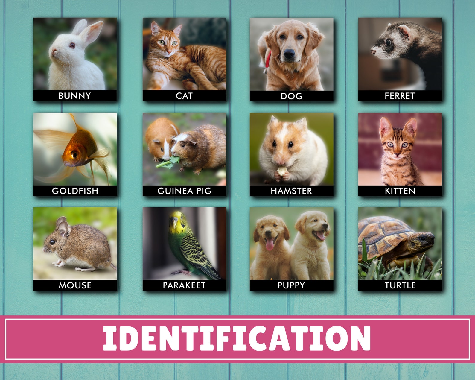 Pets Matching and Identification Cards | Digital Download | Montessori ...