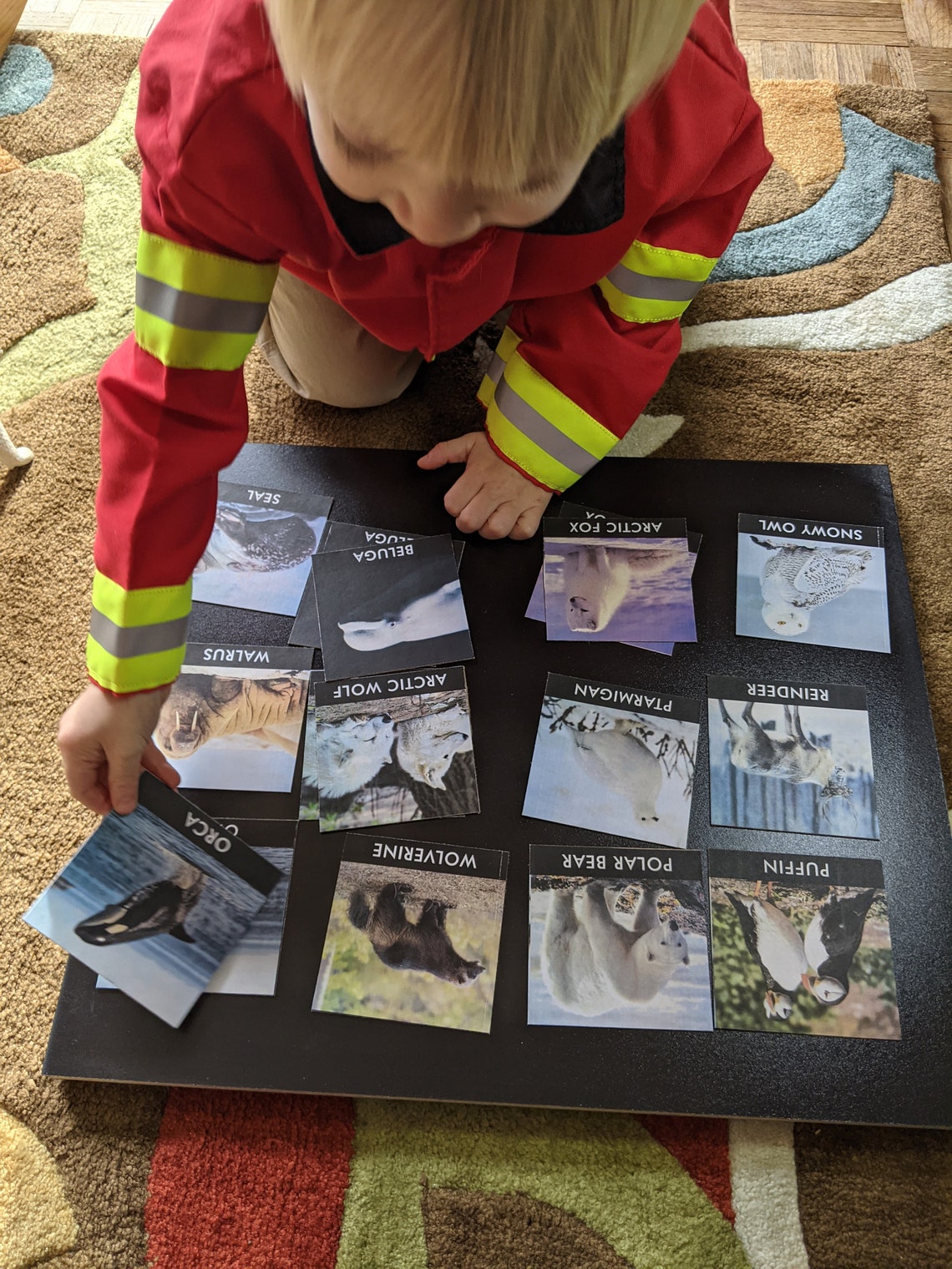 Fruit 3 Part Matching Cards Digital Download Montessori Inspired ...