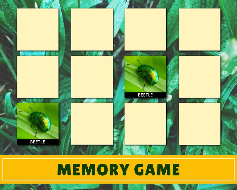 Bugs & Insects Matching Cards | Digital Download | Montessori Inspired ...