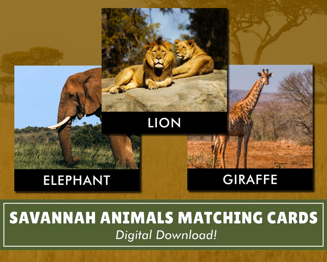 Savannah Animals Matching Cards With Bonus Fun Facts | Digital Download ...