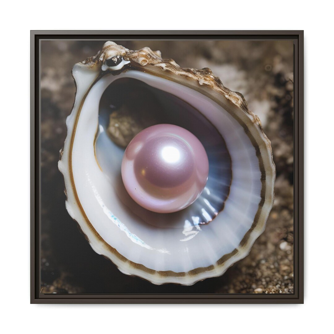 Pink Pearl in Oyster Shell Framed Canvas Wall Art Beach Lover Vacation ...