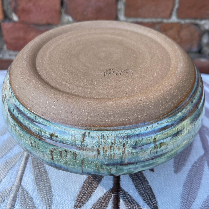 Tall Venus Flytrap Planter Pinguicula butterwort Planter Ping Pot ...