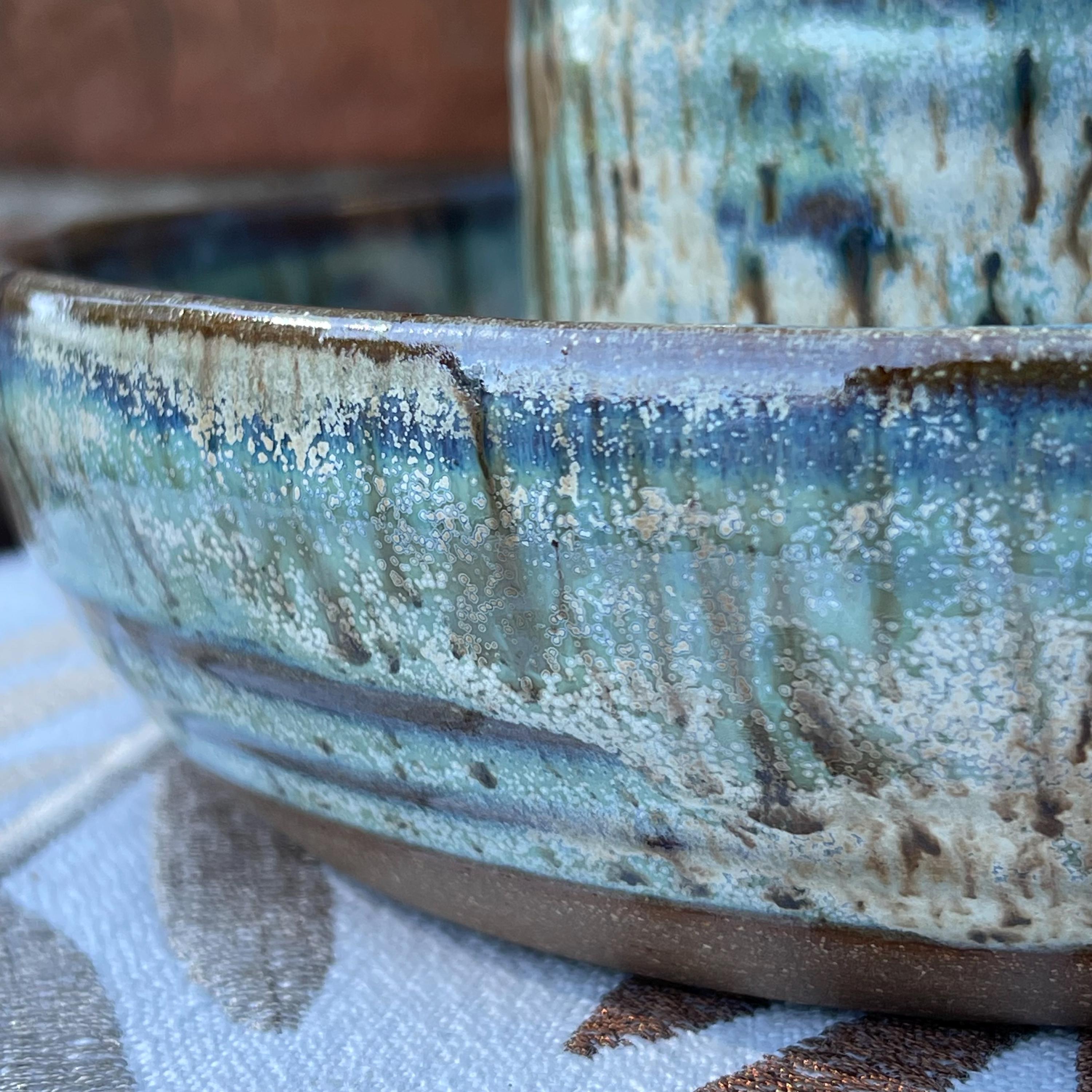 Tall Venus Flytrap Planter Pinguicula butterwort Planter Ping Pot ...