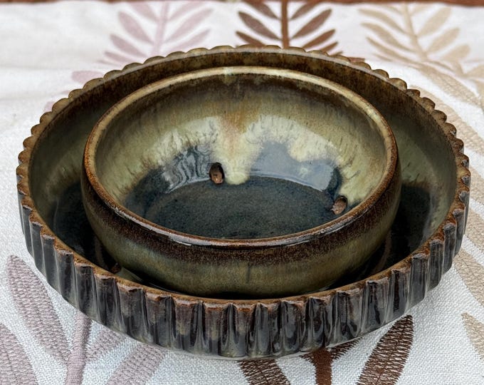 Textured Pinguicula (butterwort) Planter | Ping Pot | Handmade Pottery ...