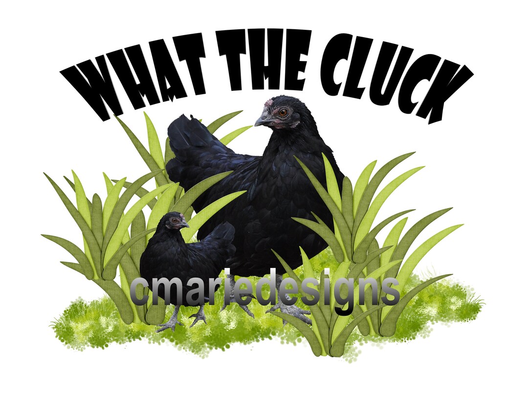What the Cluck Chicken Waterslide Digital for Tumblers Png Jpg Laser ...