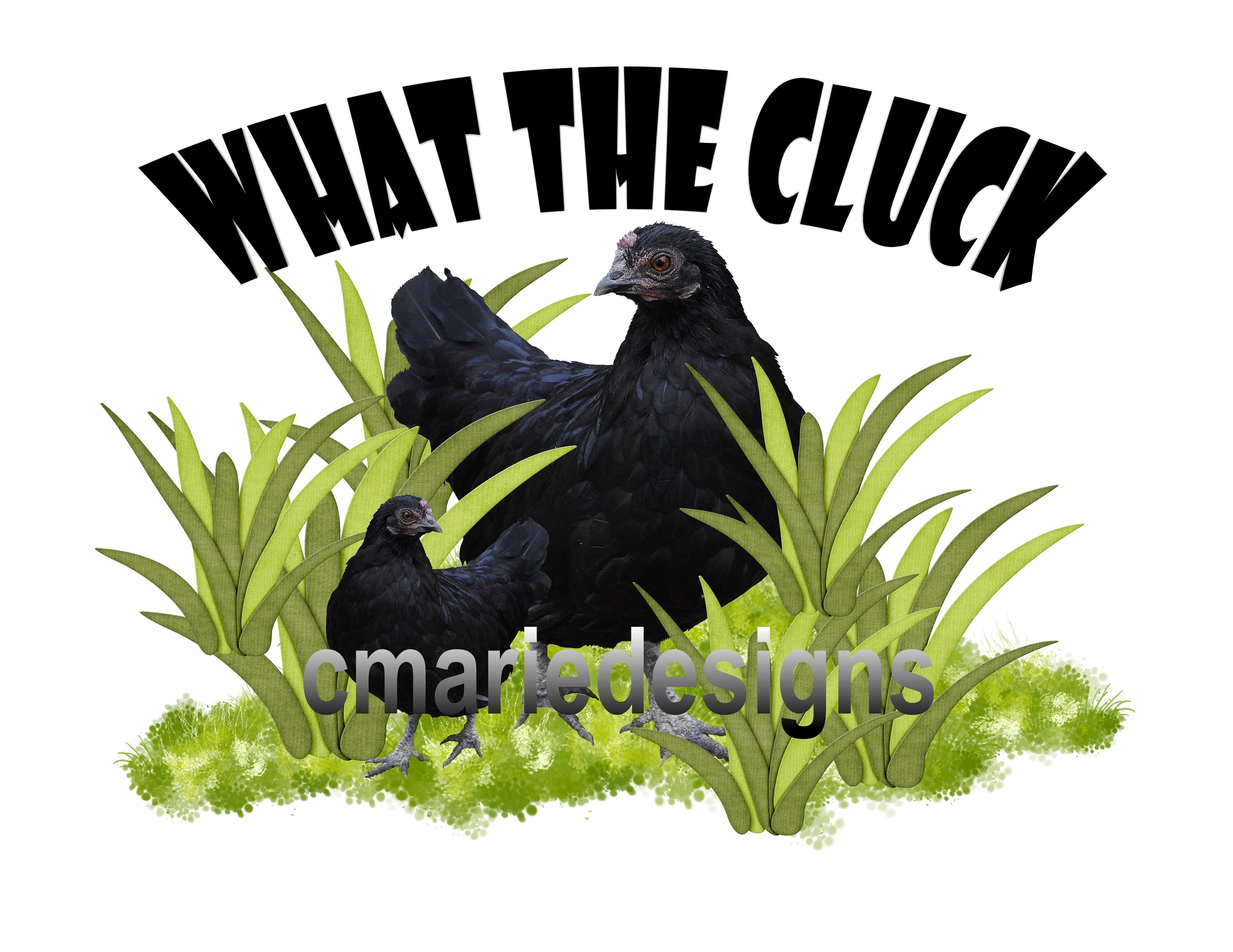 What the Cluck Chicken Waterslide Digital for Tumblers Png Jpg Laser ...