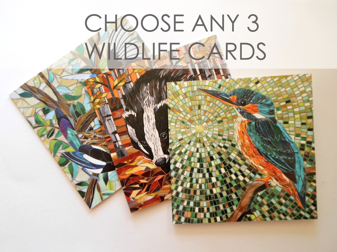 Choose 3 Eco-friendly Wildlife Cards - Chose Any 3 Cards From Over 90 ...
