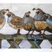 California Quail Giclee Print - Mosaic Quail Art - Quail Mosaic Art ...