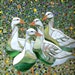 Mosaic Geese Print - Limited Edition Giclee Print - Goose Art - Mosaic ...