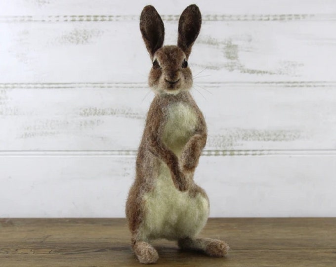 KIT ROMEO the RABBIT Needle Felting Kit, Complete Felting Kit, Animal ...