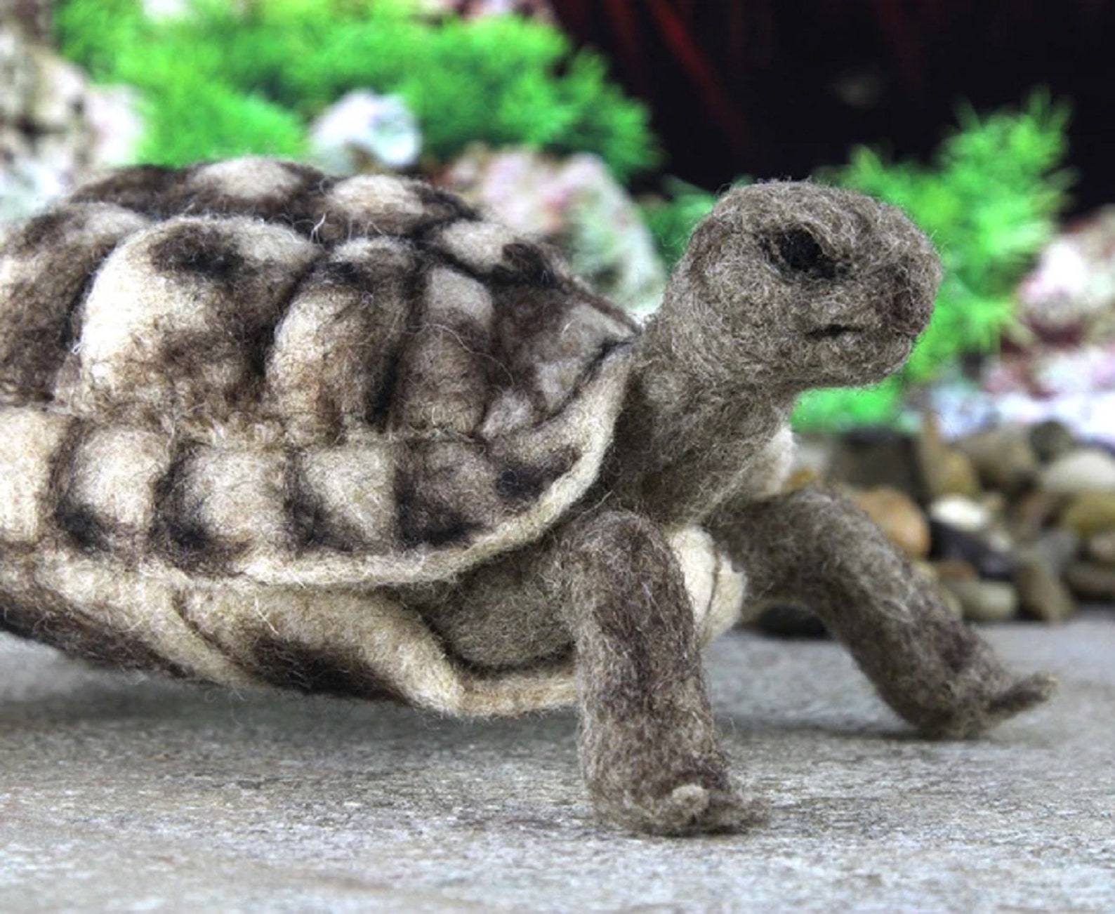 Toto the Tortoise Complete Needle Felting Kit, Intermediate Level - Etsy
