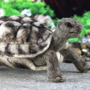 KIT *** TOTO the TORTOISE Needle Felting Kit, Needle Felted Turtle ...