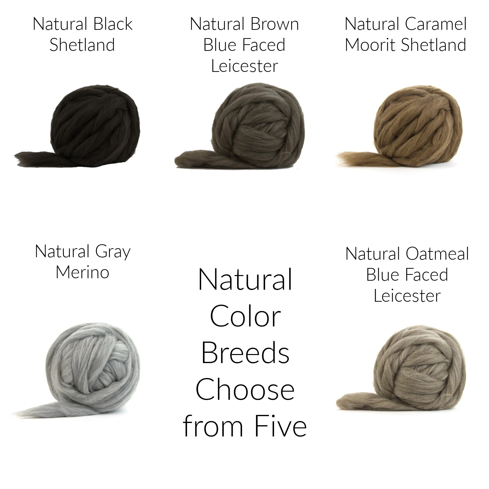 50 % OFF 2 Ozs., Natural Breeds Wool Roving, Roving, Natural Wool ...