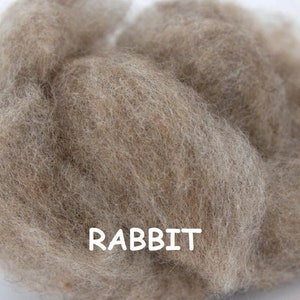 1/4 Lb. WOODLAND CREATURES Wool Roving, Carded Corriedale Roving ...