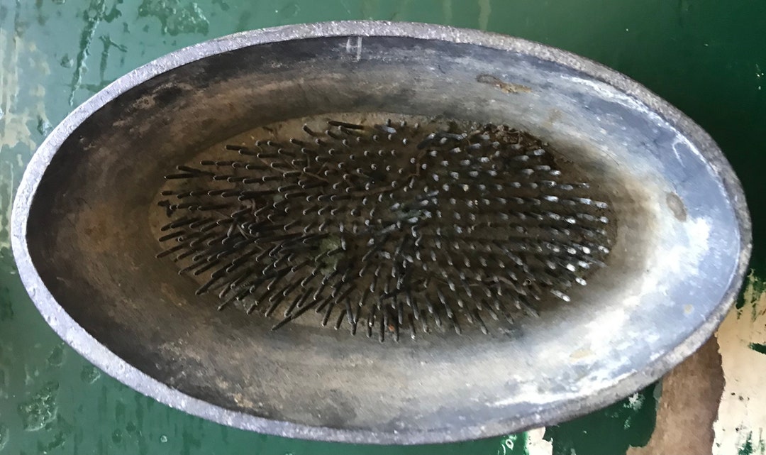 Vintage Frog Self Contained Oval Casing Great Item 6" by 3 1/2" - Etsy