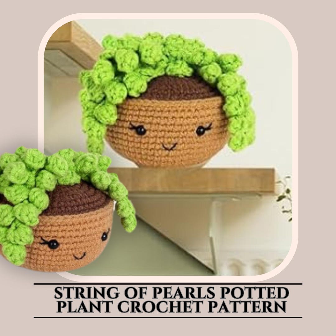 Baby String of Pearls Crochet Pattern, Amigurumi Succulent Plant ...