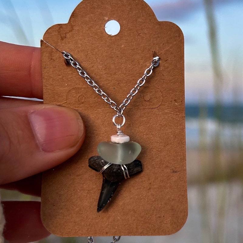 Shark Tooth Necklace - Etsy