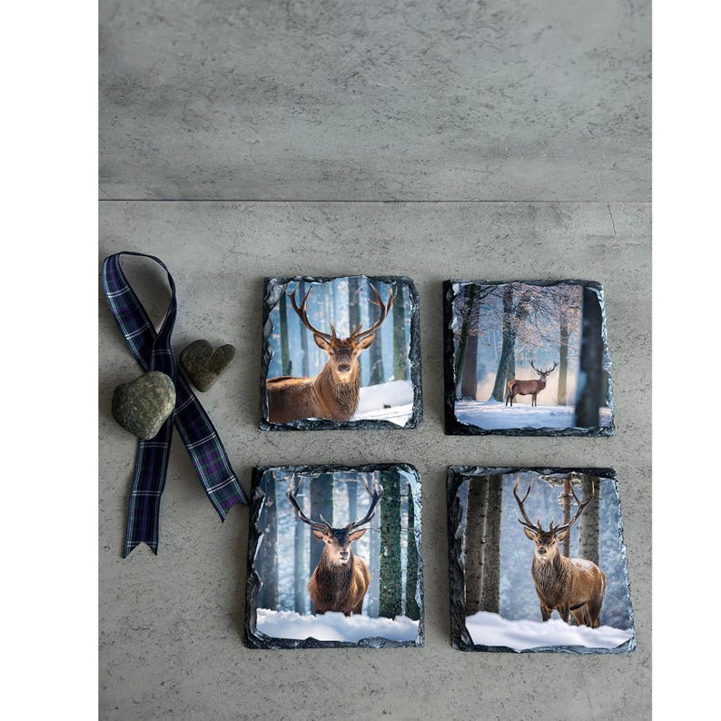 Scottish Stag Themed Stone Slate Coasters. Various Designs in Stunning ...