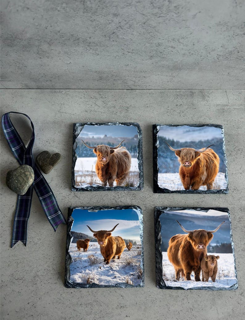 Scottish Highland Cow Themed Stone Slate Coasters. Various Designs in ...