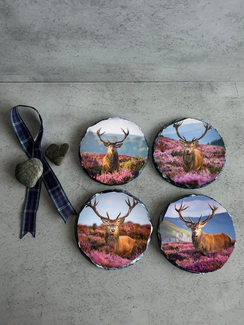 Scottish Stag Themed Stone Slate Coasters. Various Designs in Stunning ...