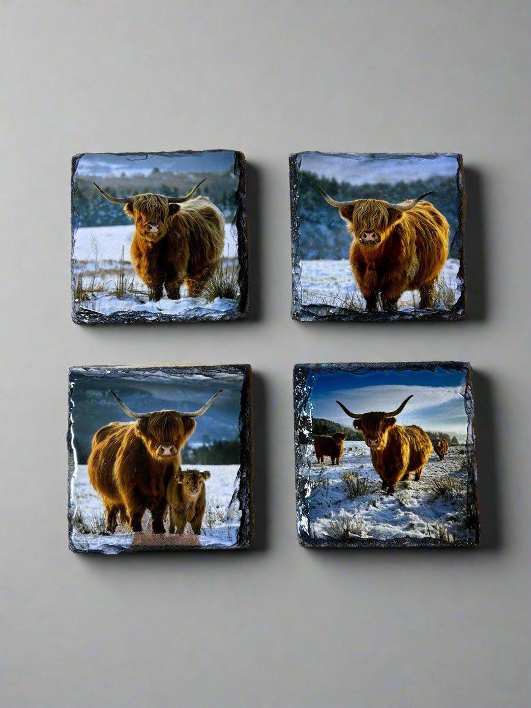 Scottish Highland Cow Stone Slate Coasters. Beautiful and Vibrant ...