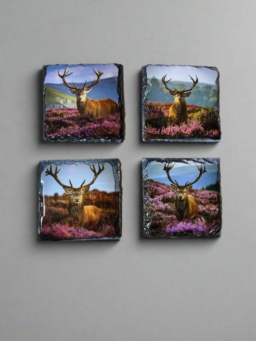 Scottish Stag Stone Slate Coasters. Beautiful and Vibrant Highland Stag ...