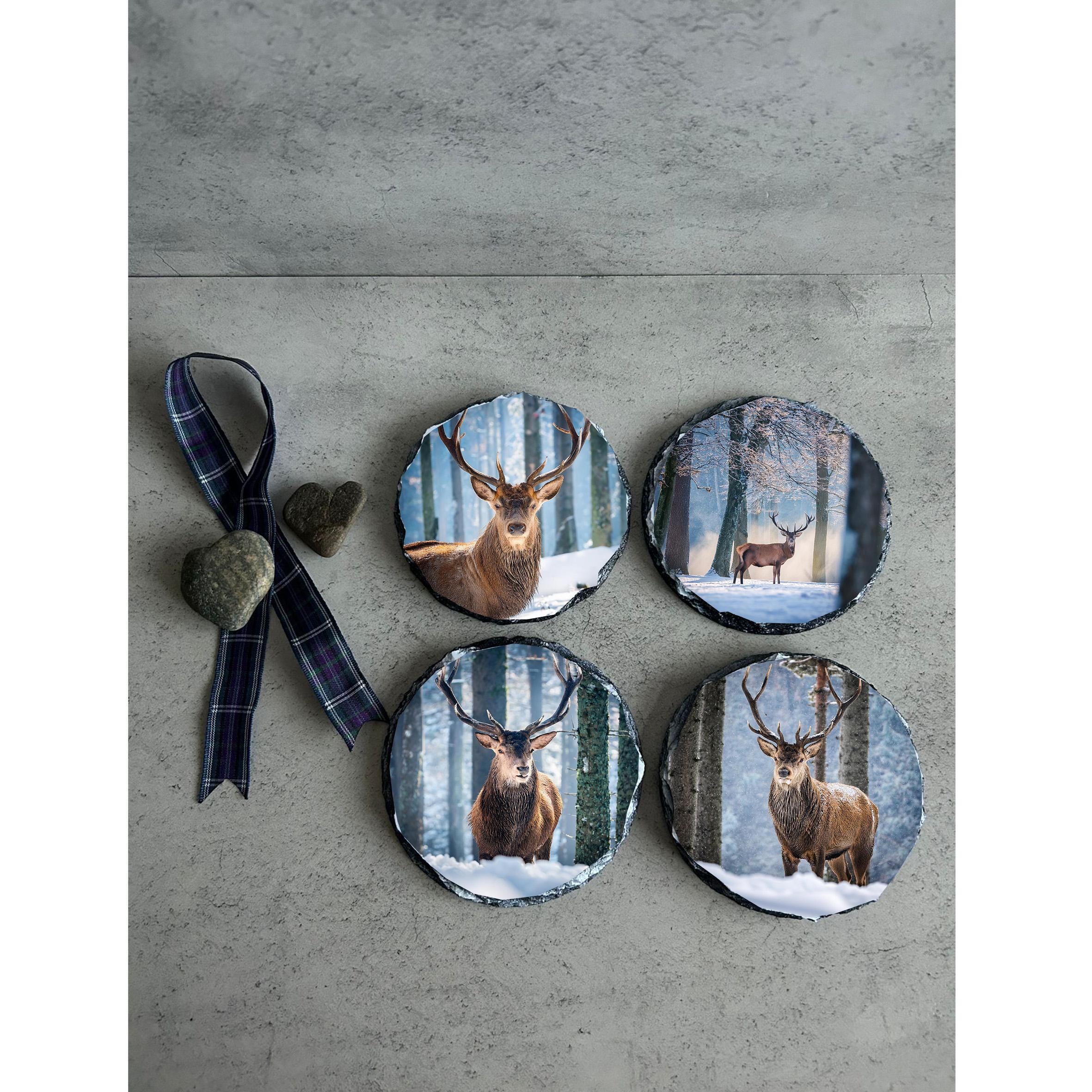 Scottish Stag Themed Stone Slate Coasters. Various Designs in Stunning ...