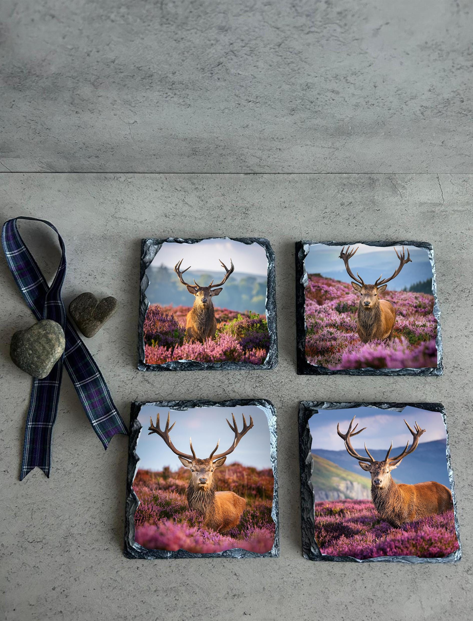 Scottish Stag Themed Stone Slate Coasters. Various Designs in Stunning ...