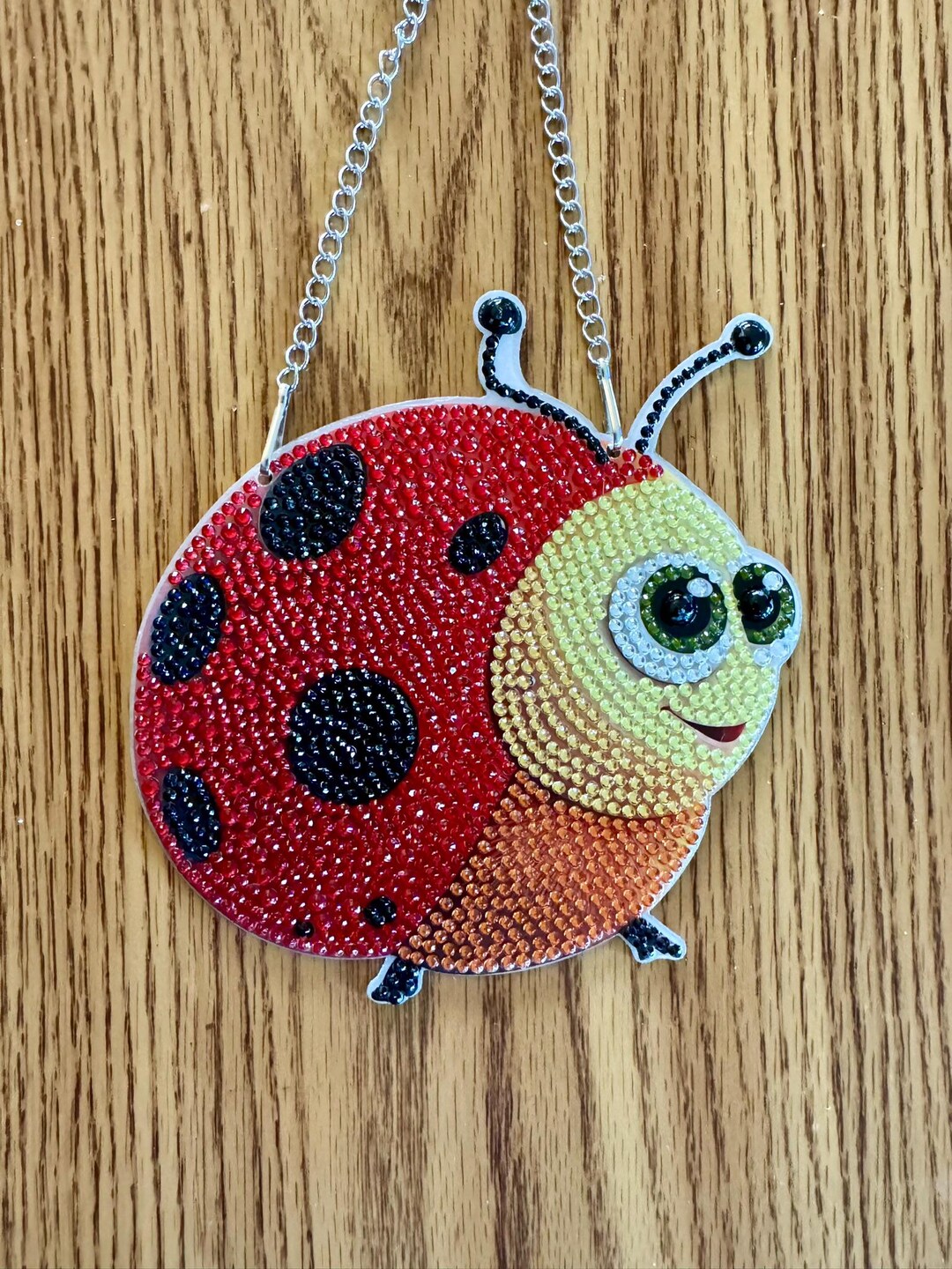 Ladybug Diamond Art Wall Hanging - Etsy