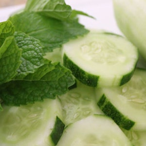 Cucumber Mint Perfume Oil, Fragrance Roll on Scent Vegan Fresh Cuke ...