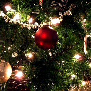 Christmas Tree Perfume Oil, Fragrance Roll on Cologne Holiday Pine ...