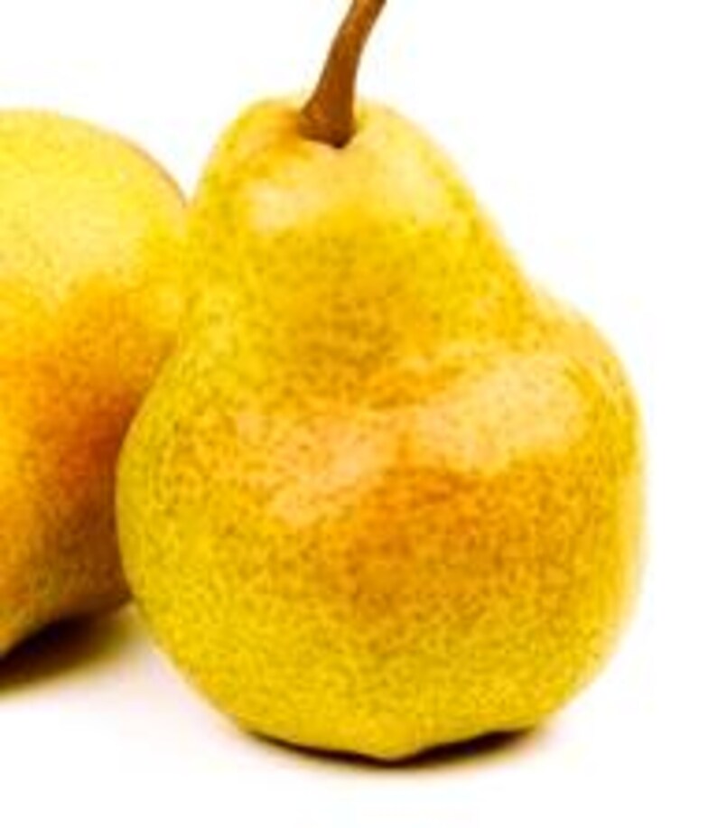 Sweet Yellow Pear Body Frosting 9 Oz Rich Cream Butter, Over Half Pound ...