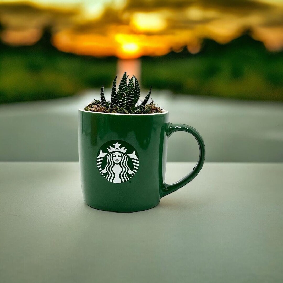 Succulent Planter Gift Green Starbucks Preloved Coffee Cup Upcycled Mug ...