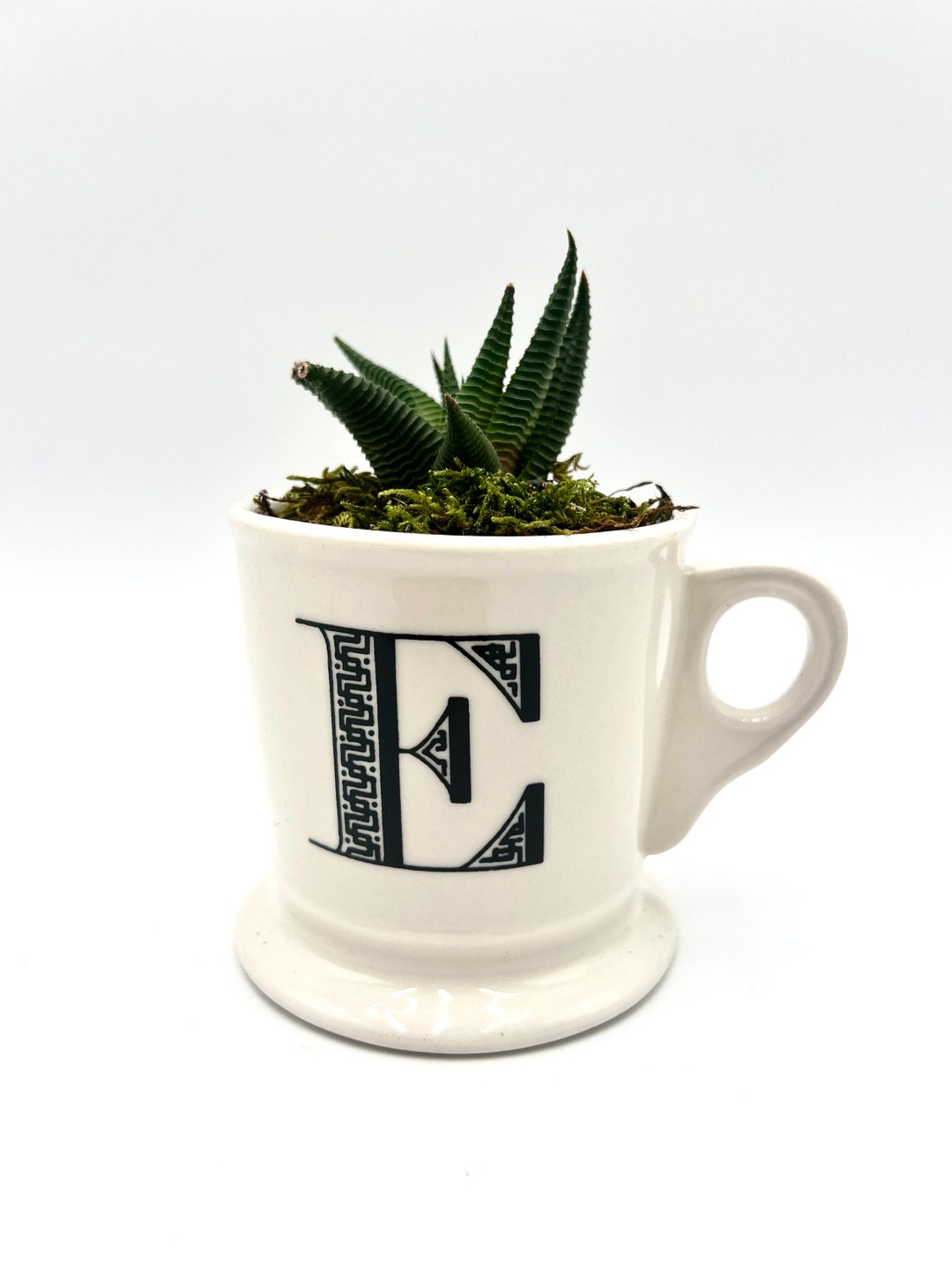 Succulent Gift Letter E Monogrammed SUCC up Cup With Succulent - Etsy